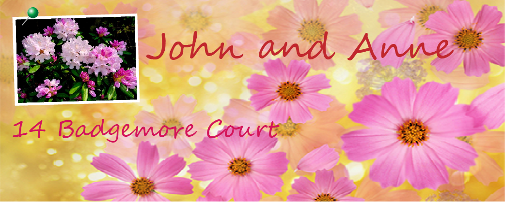 John | Two Mile Ash Environmental Group