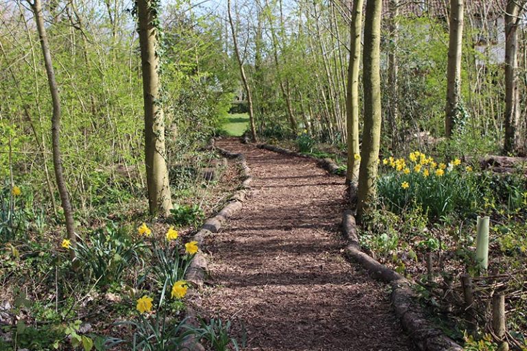 Bluebell Circuit | Two Mile Ash Environmental Group